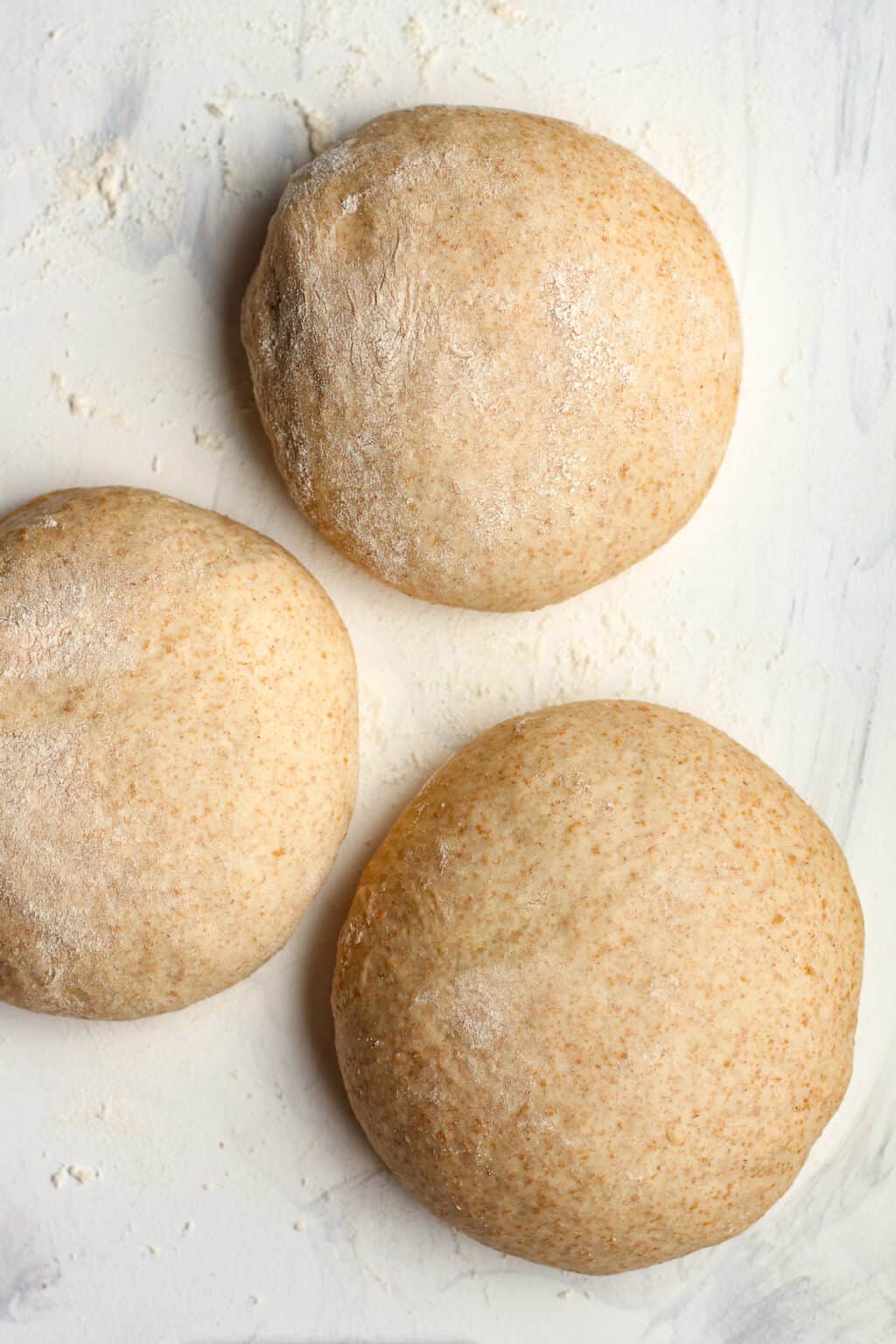 Whole Wheat Pizza Dough - SueBee Homemaker