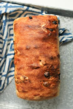 Cinnamon Raisin Sourdough Bread - SueBee Homemaker