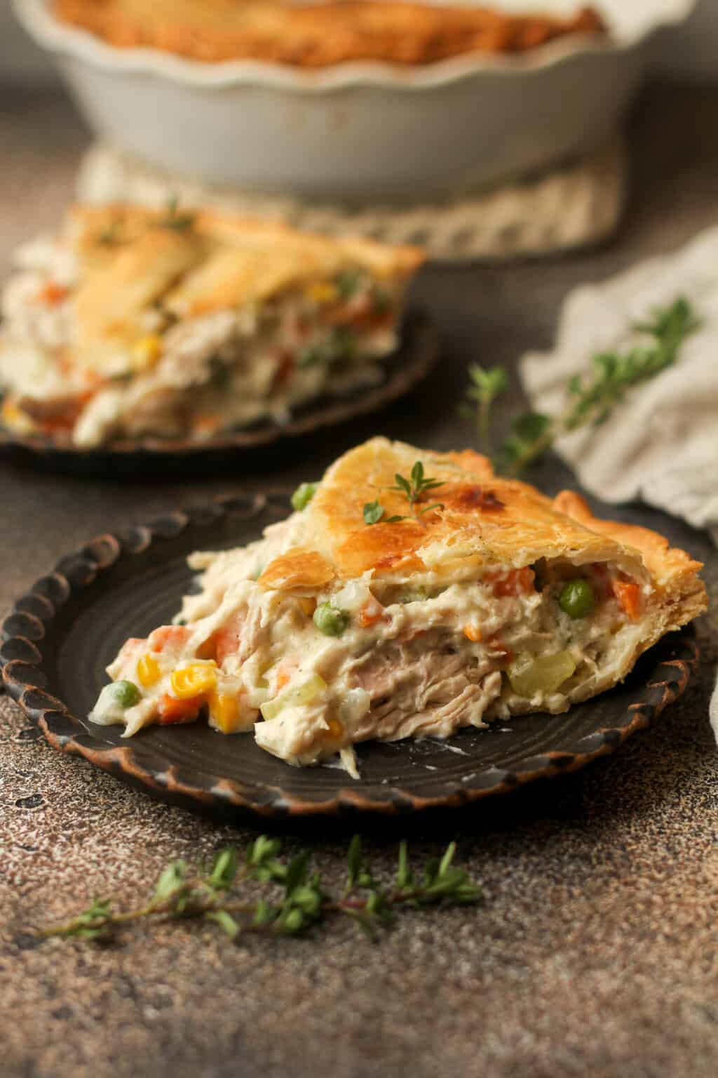 Double Crust Chicken Pot Pie - SueBee Homemaker
