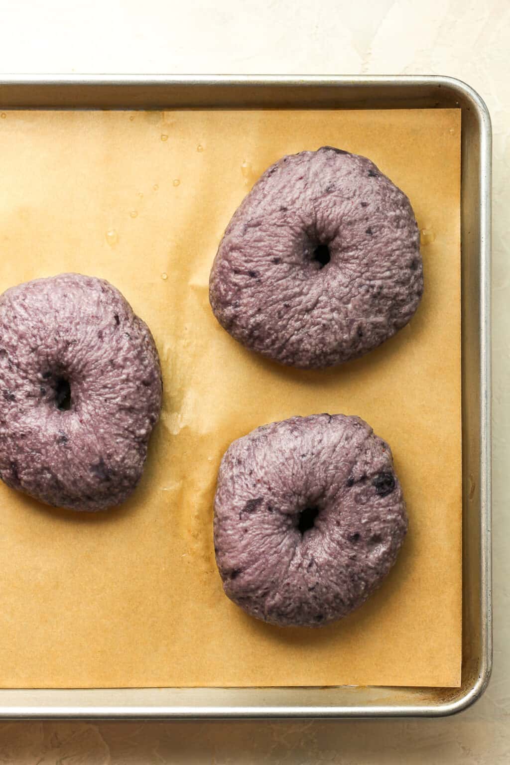 Chewy Blueberry Bagels {Six Ingredients} - SueBee Homemaker