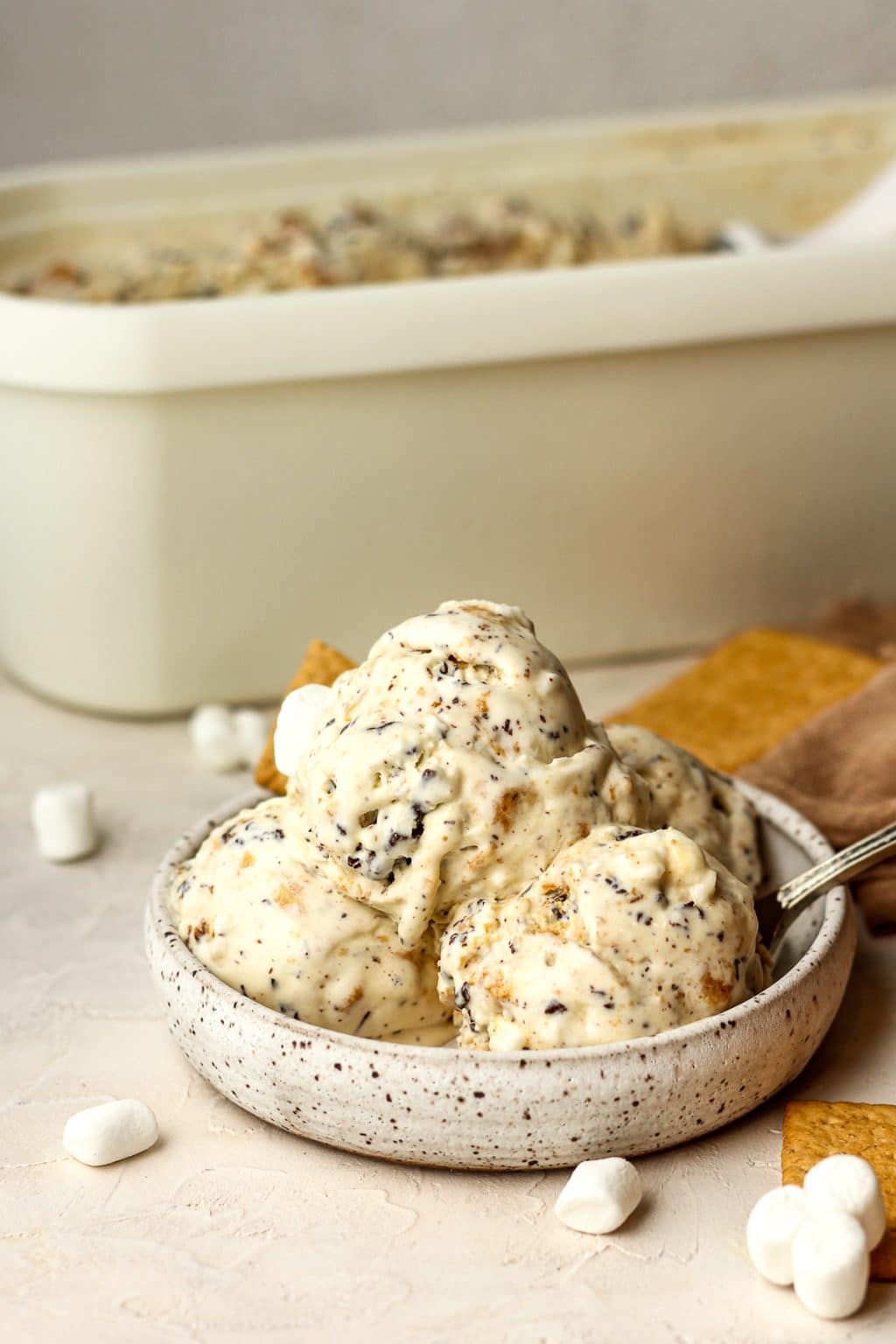 S'mores Ice Cream with Melted Chocolate - SueBee Homemaker