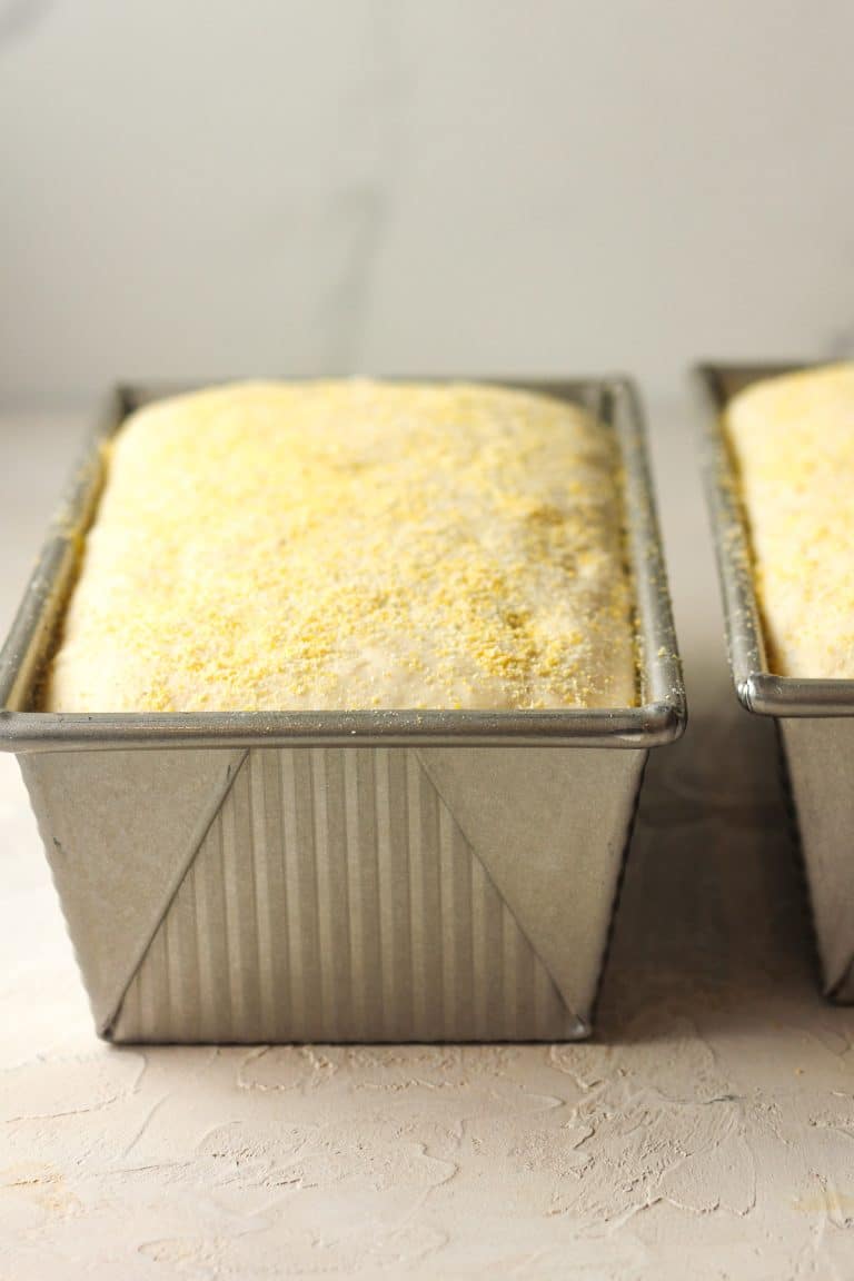 No Knead English Muffin Bread - SueBee Homemaker