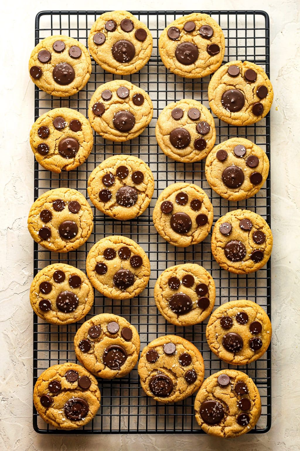 Paw Print Cookies (a dedication to the goodest boy) - SueBee Homemaker