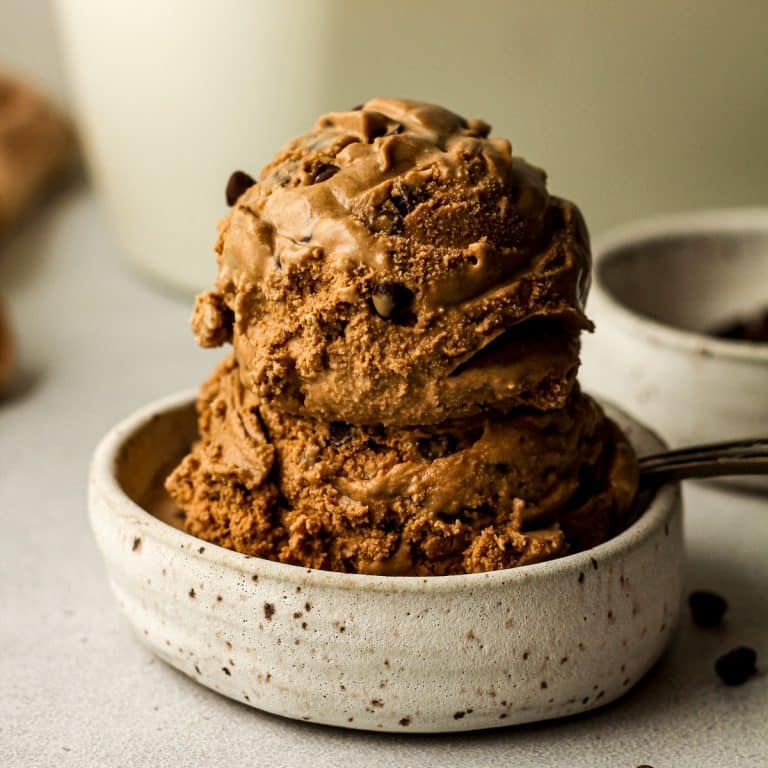 Mocha Ice Cream with Mini Chocolate Chips - SueBee Homemaker